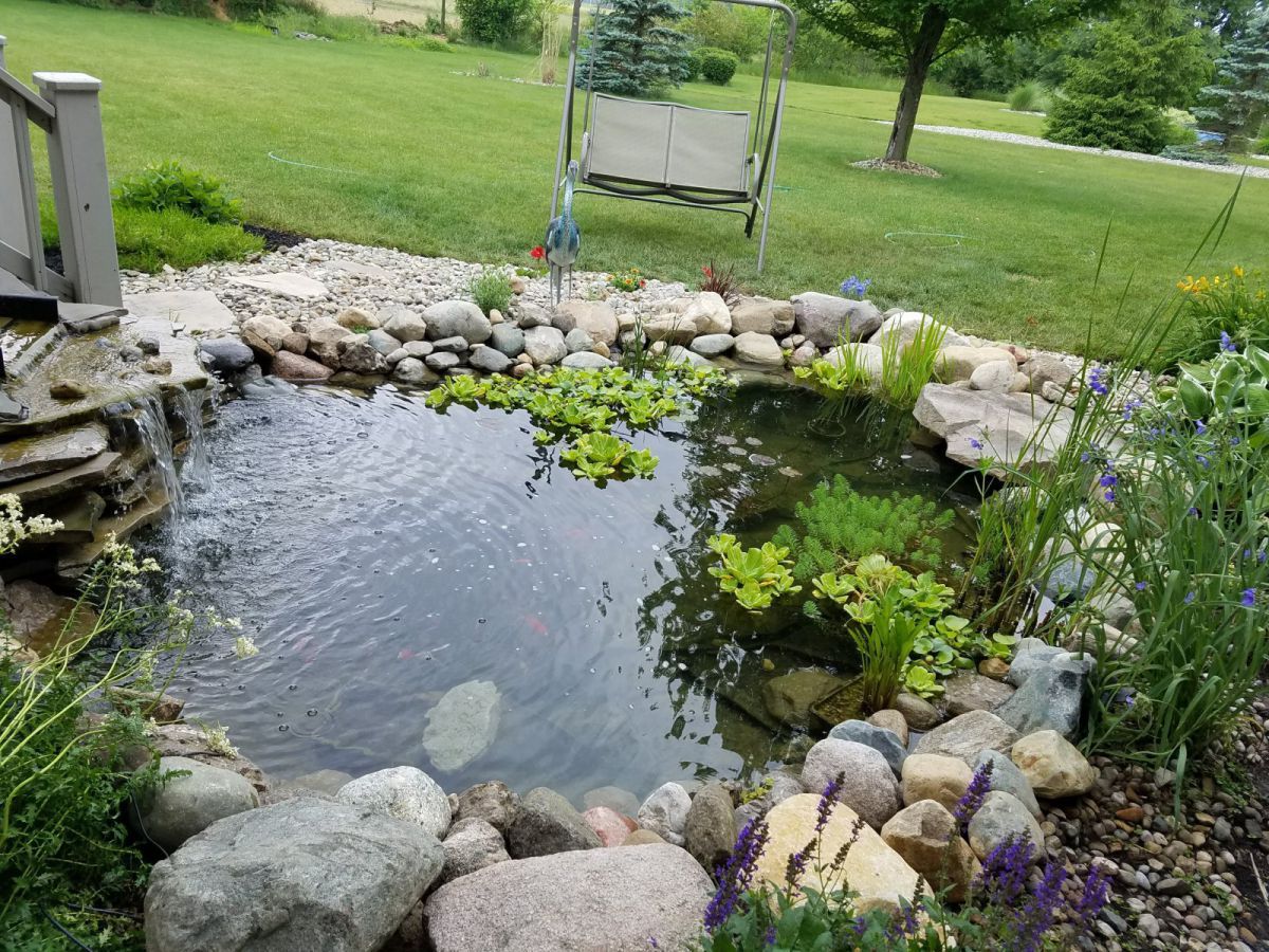 View 1 Garden Pond Forums